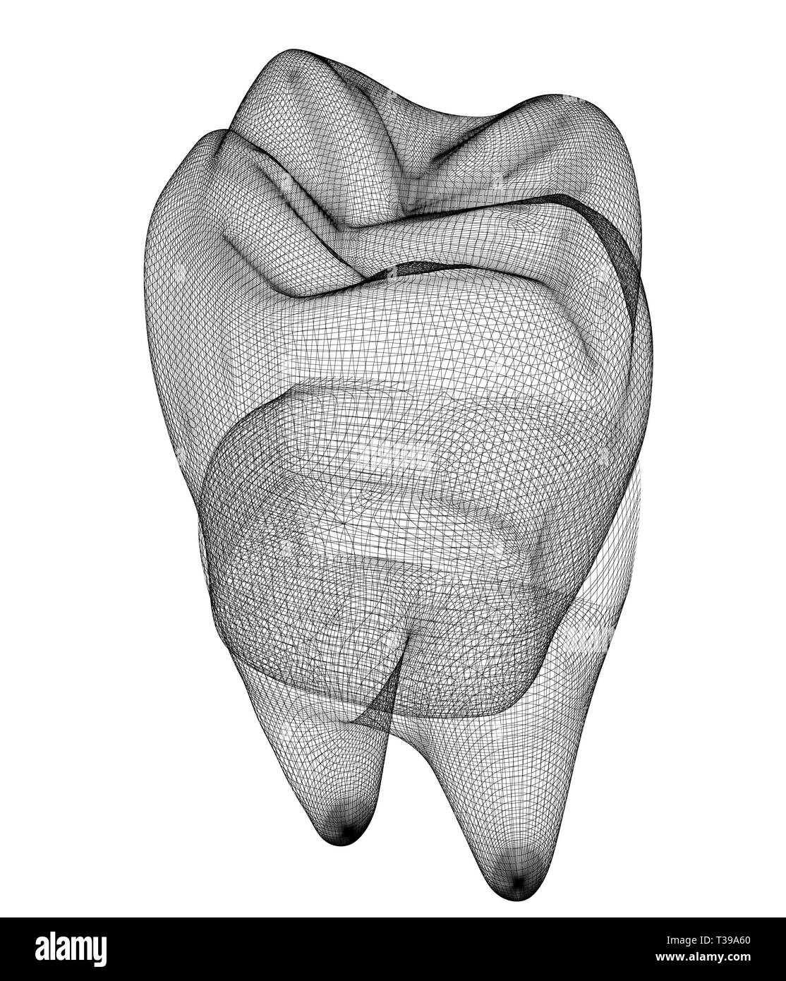 Mesh model of tooth. 3d illustration Stock Photo - Alamy