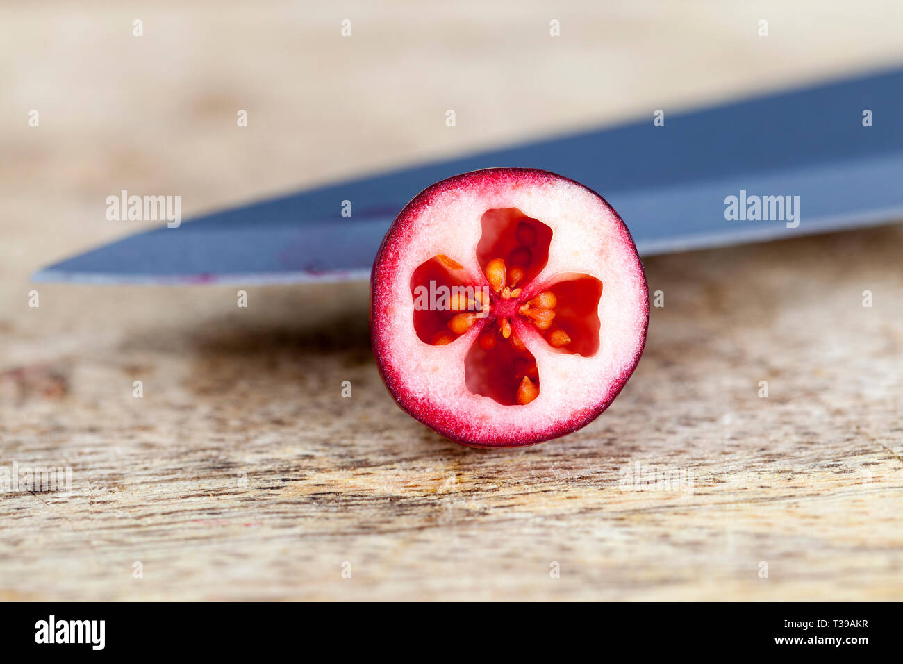 Cut in the middle ripe large cranberries grown in the swamp, on a ...