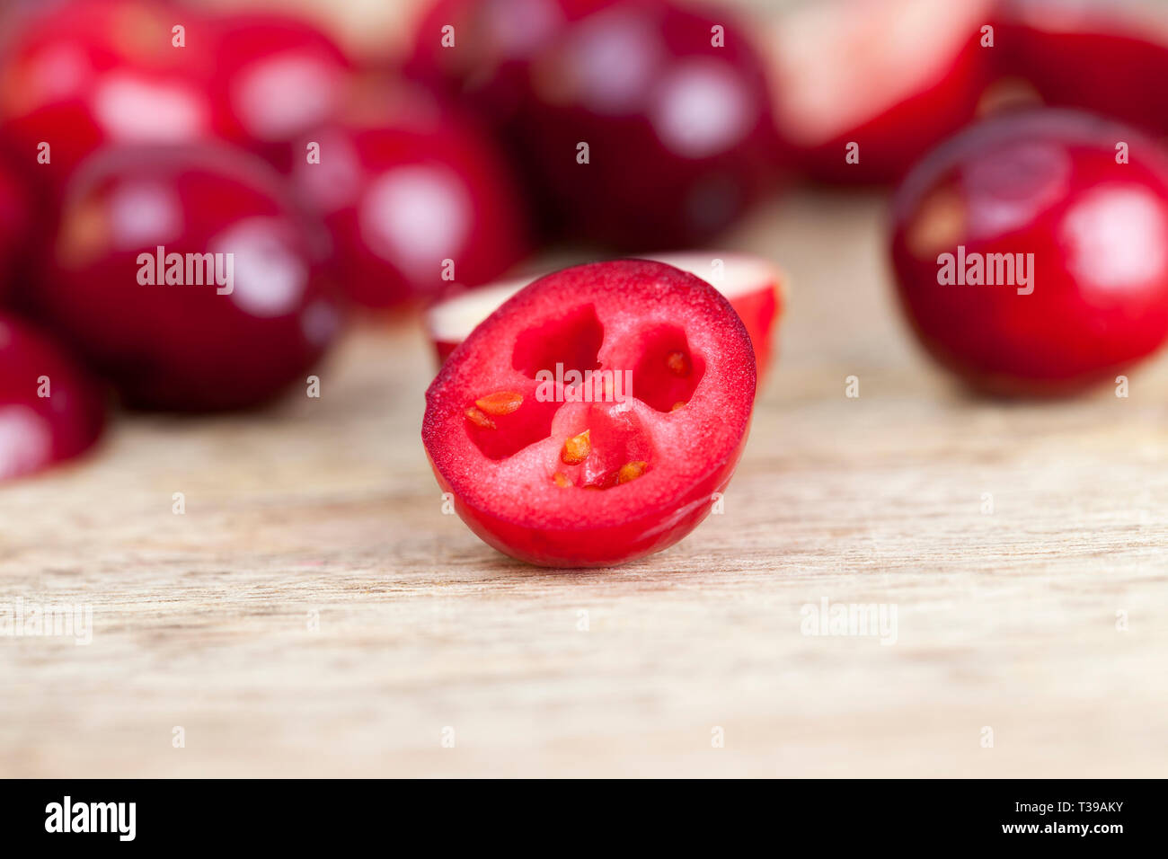 Cut in the middle ripe large cranberries grown in the swamp, on a ...