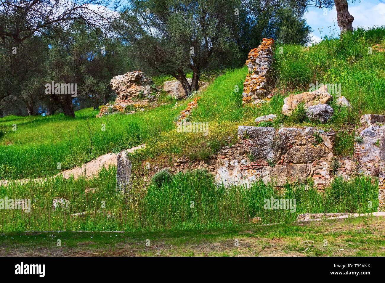 Sparta, Greece Ancient ruins remains in Peloponnese Stock Photo - Alamy