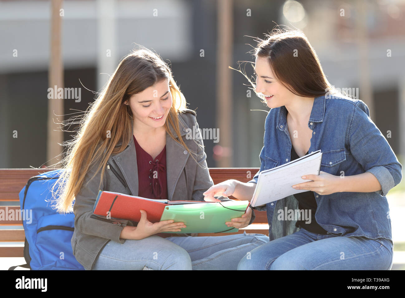 Two students learning comparing notes sitting on a bench in a park ...