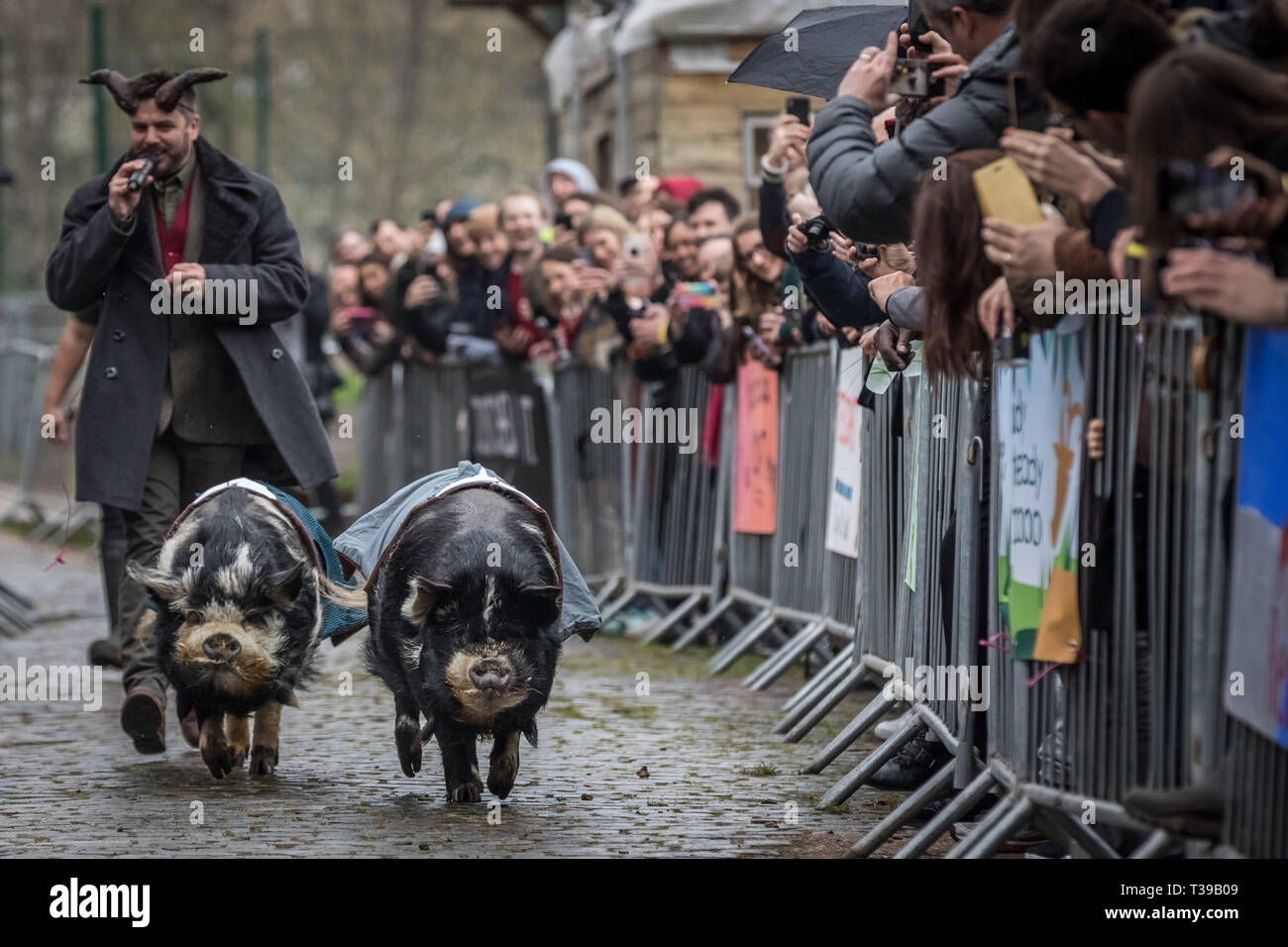 Shoat race hi-res stock photography and images - Alamy