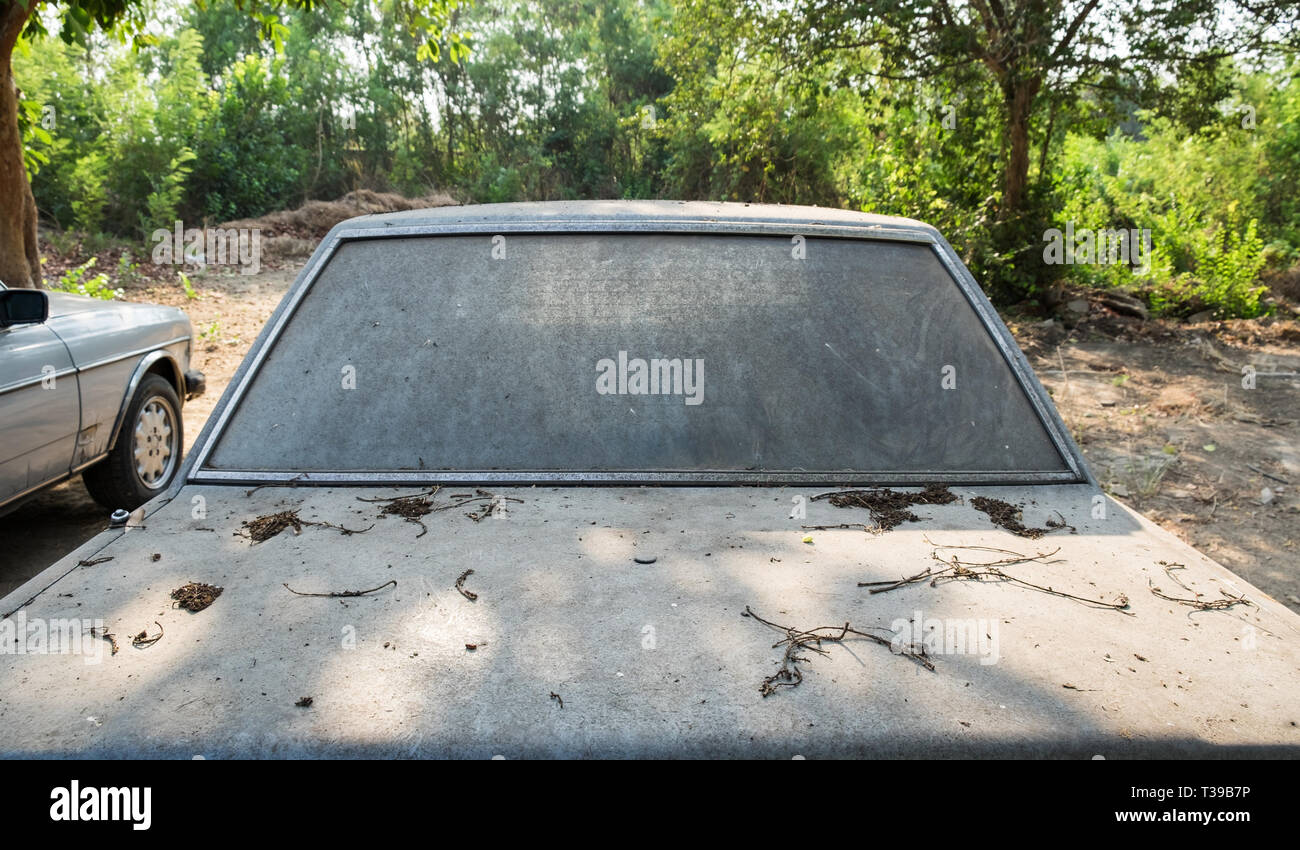 Back car dirty stain in park backyard Stock Photo - Alamy