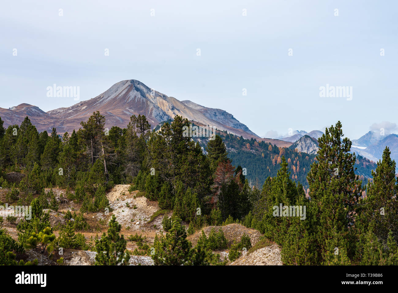 Road to Ofenpass - Fuorn pass in Val Mustair of canton Grisons ...