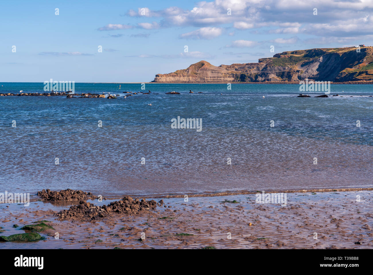 North Sea Coast in North Yorkshire, England, UK - looking from Runswick ...