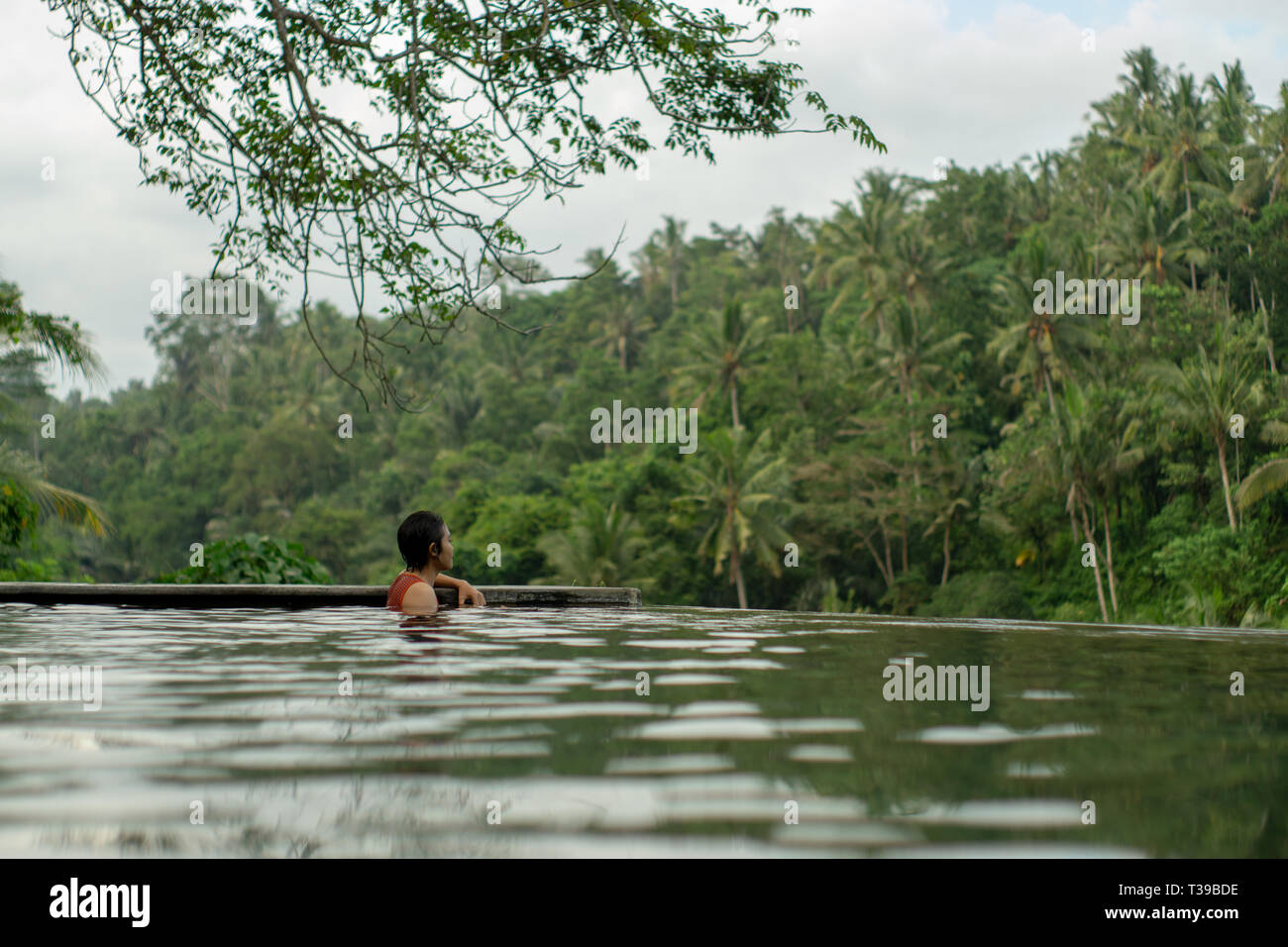 Infinity pool in forest hi-res stock photography and images - Alamy