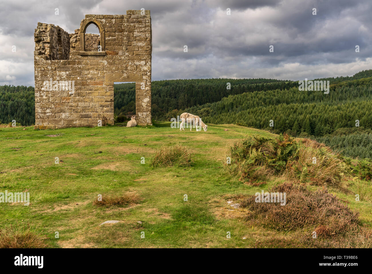 Skelton tower north york moors hi-res stock photography and images - Alamy