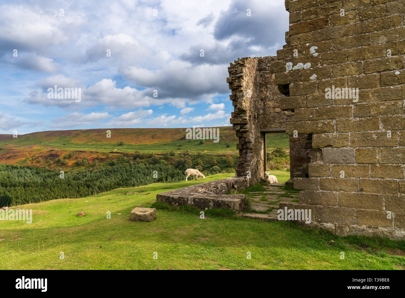 Skelton tower levisham moor north hi-res stock photography and images ...