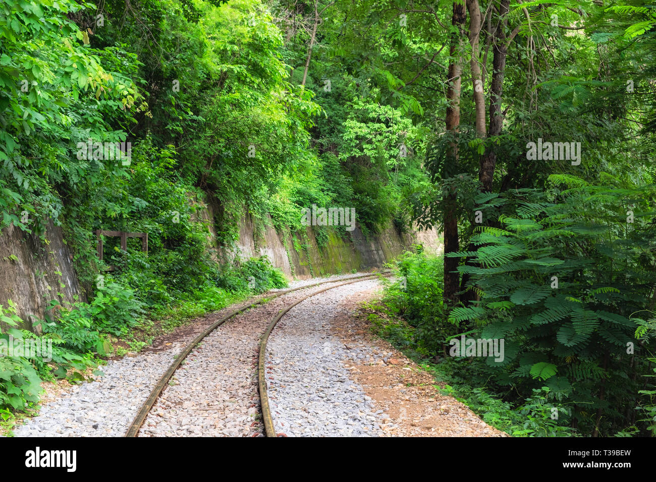 Railway track curve in verdant tropical rainforest Stock Photo - Alamy
