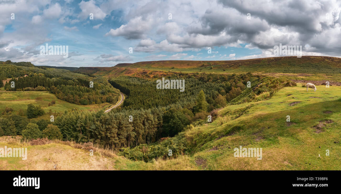 North York Moors landscape in Newtondale, seen from the Levisham Moor ...