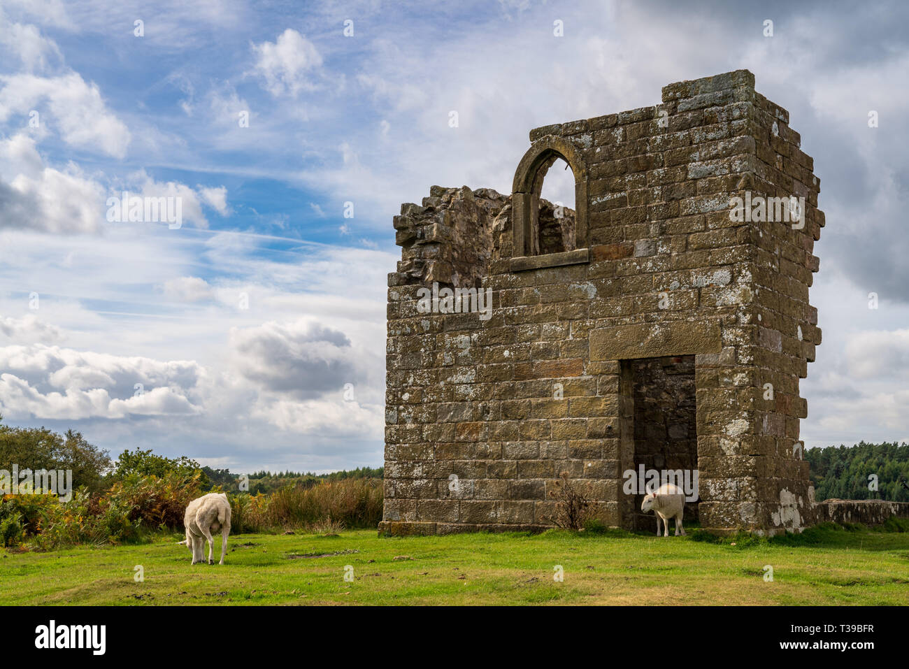 Skelton tower north york moors hi-res stock photography and images - Alamy