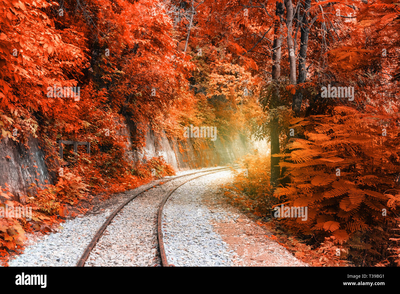 Railway track curved in autumn forest Stock Photo - Alamy