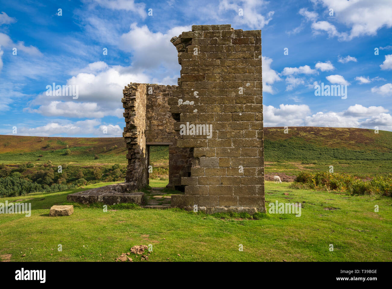 North York Moors landscape, looking at Skelton Tower, seen from the ...
