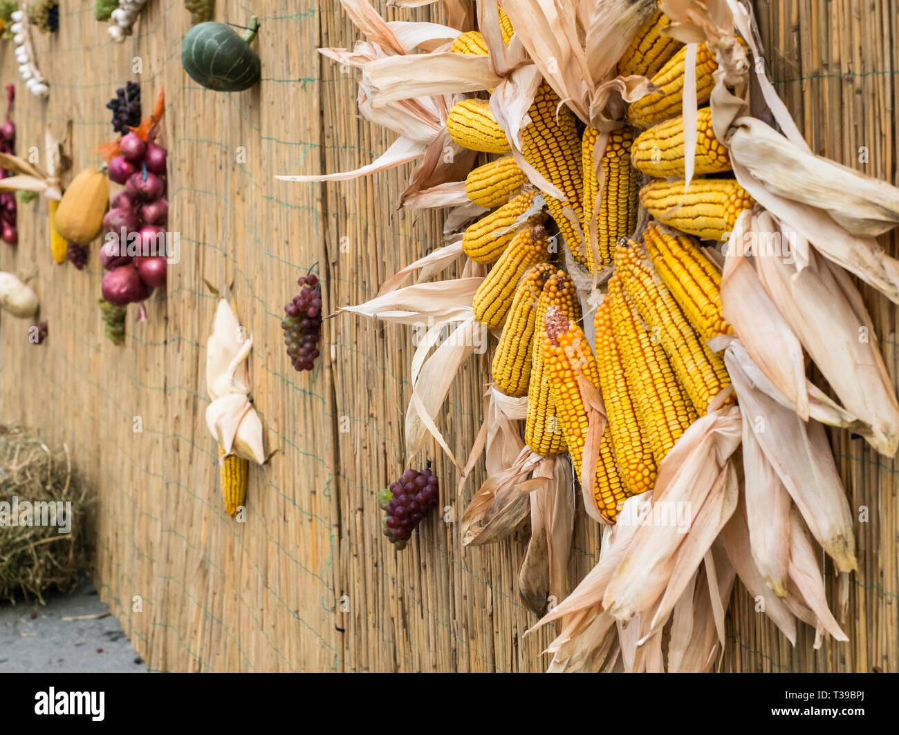 Wicker wall hi-res stock photography and images - Alamy