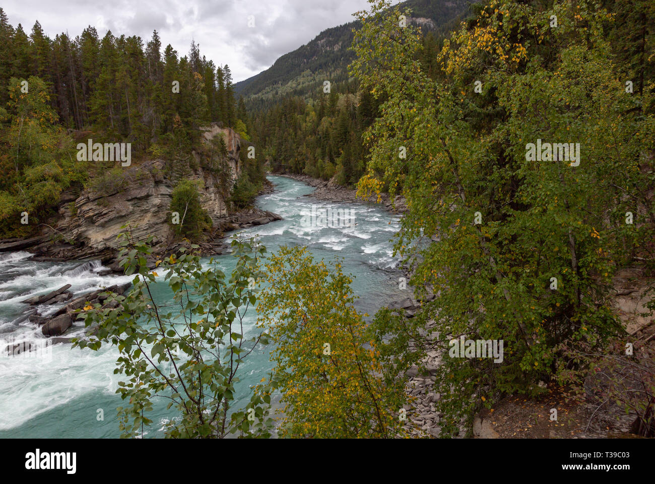 Rearguard the hi-res stock photography and images - Alamy