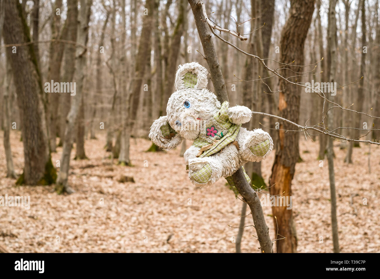 Plush place hi-res stock photography and images - Alamy
