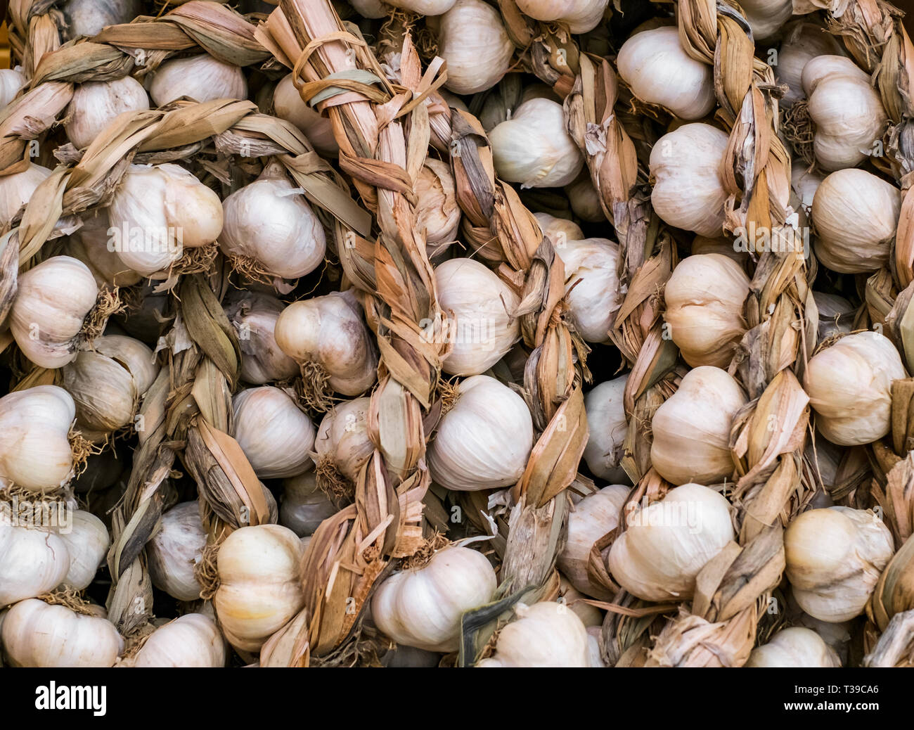 rope with garlic Stock Photo - Alamy