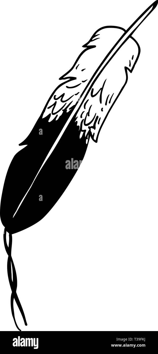 Feather Vector Illustration Stock Vector Image & Art - Alamy