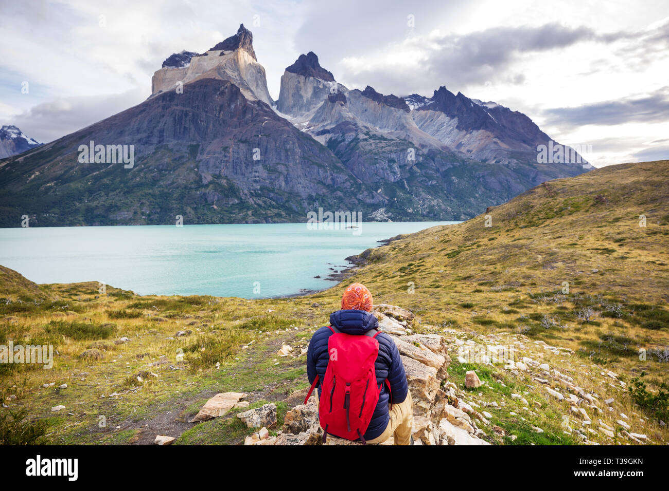 Beautiful mountain landscapes in Torres Del Paine National Park, Chile ...