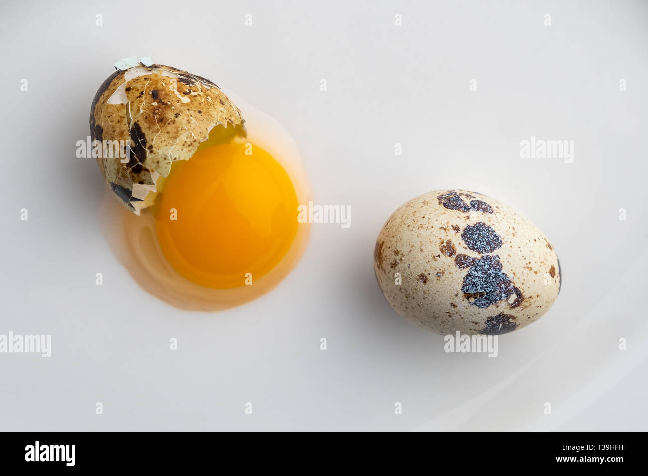 broken quail egg on the white plate; eco product; healthy food Stock ...