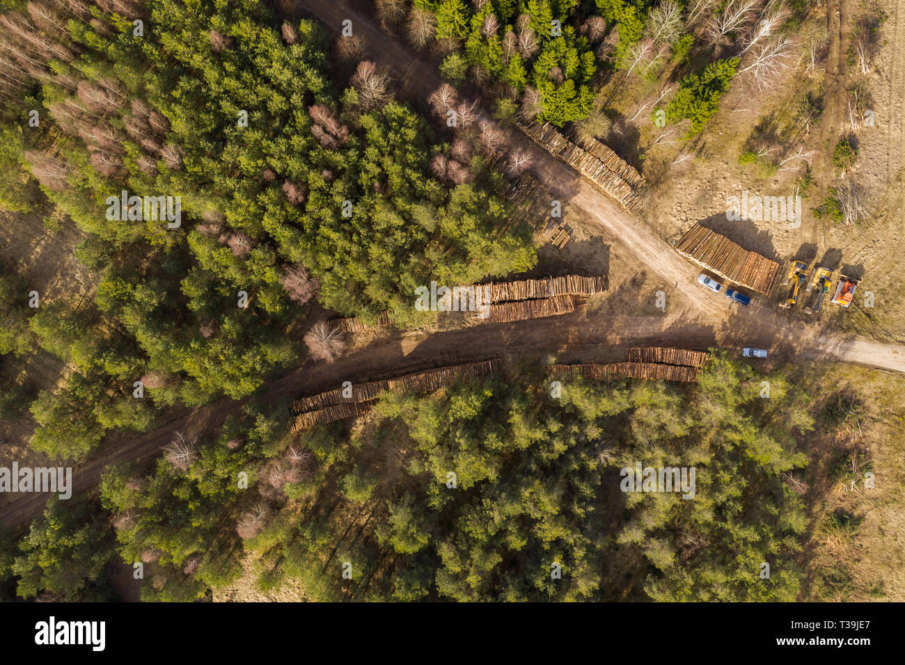 Drone view of forest, dirt roads and pile of logs in rural landscape ...
