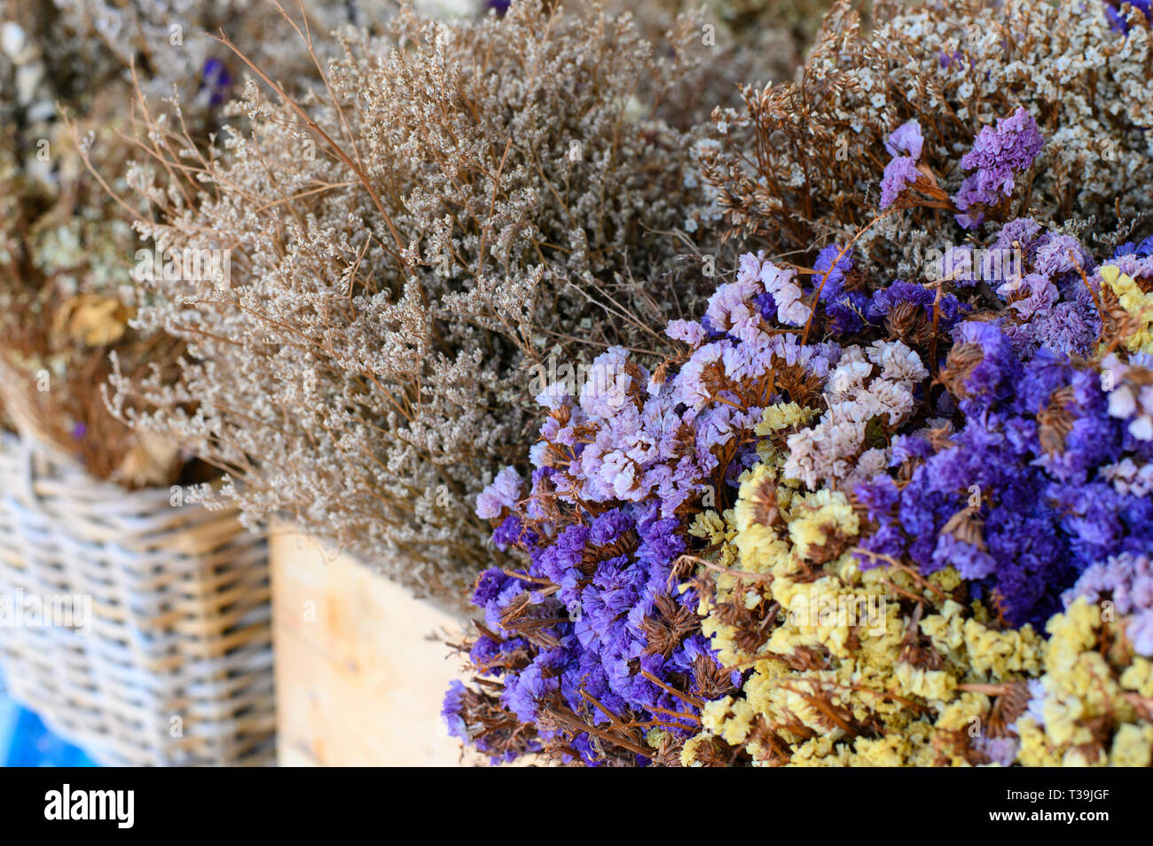 Bouquet of dried flower background Stock Photo - Alamy