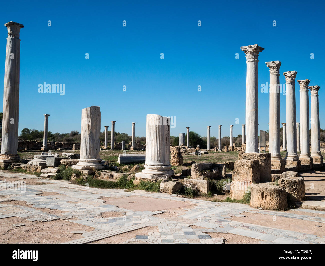 Ancient Salamis ruins and columns Stock Photo - Alamy