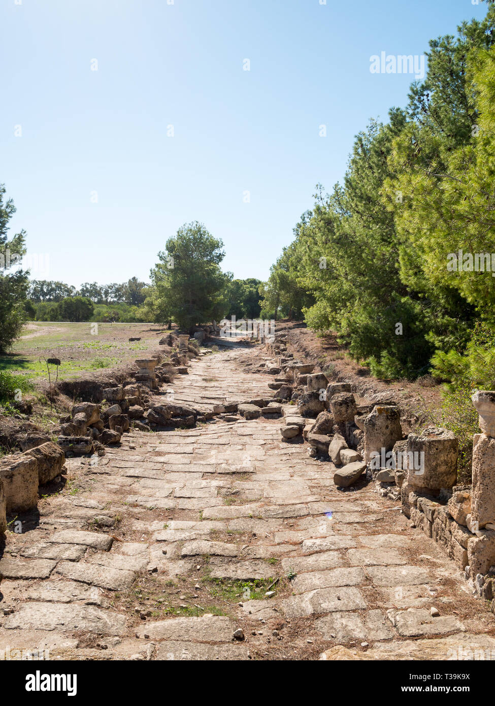 Ancient Salamis road Stock Photo - Alamy