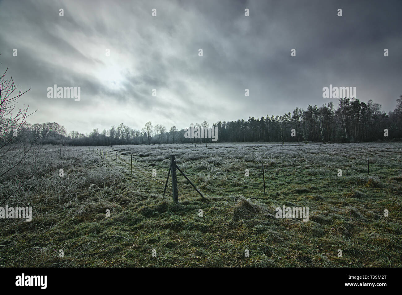 Moor scene hi-res stock photography and images - Alamy