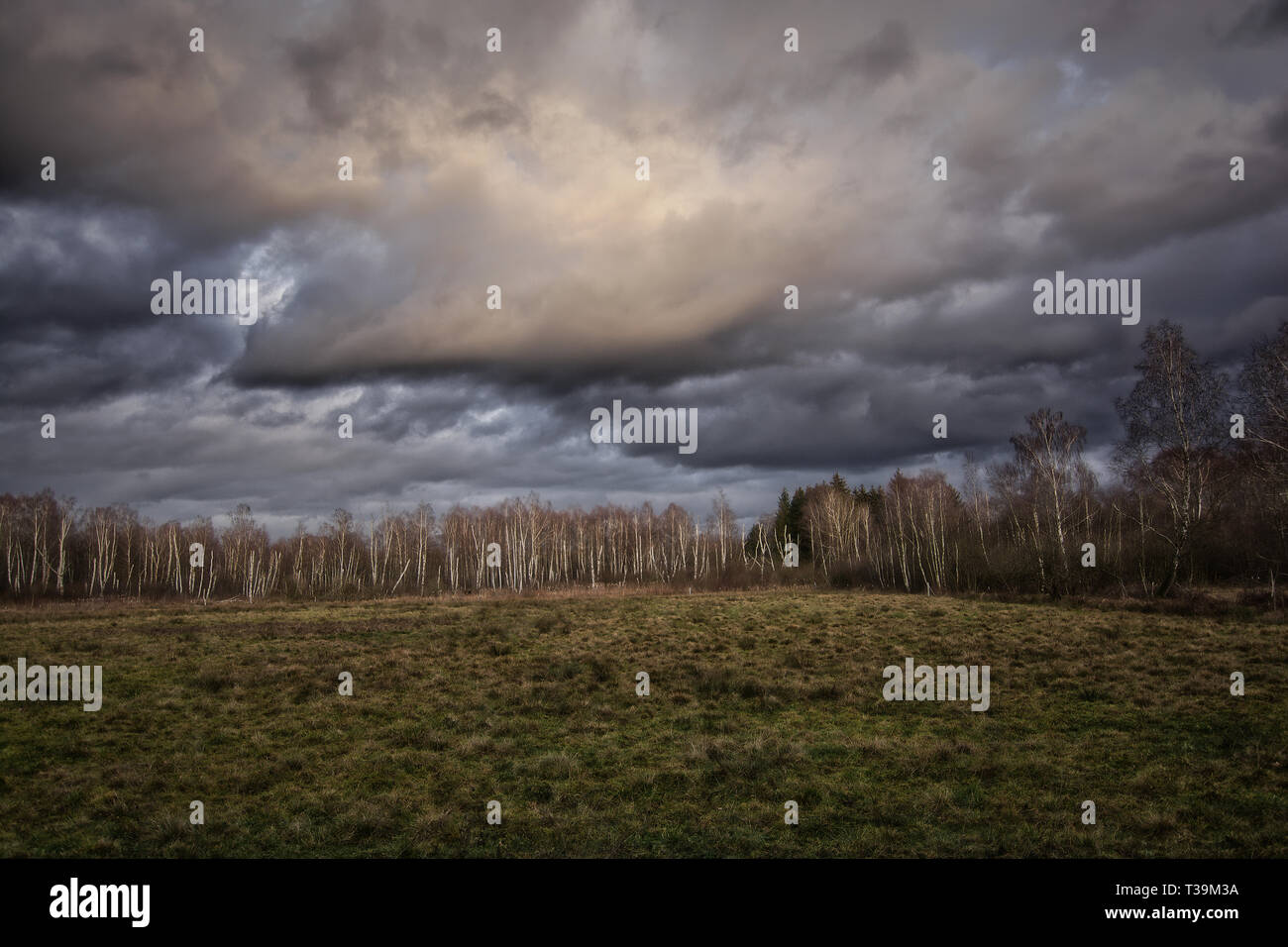 Moor scene hi-res stock photography and images - Alamy