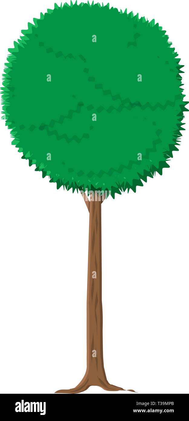 Big ash tree in leaf Stock Vector Images - Alamy