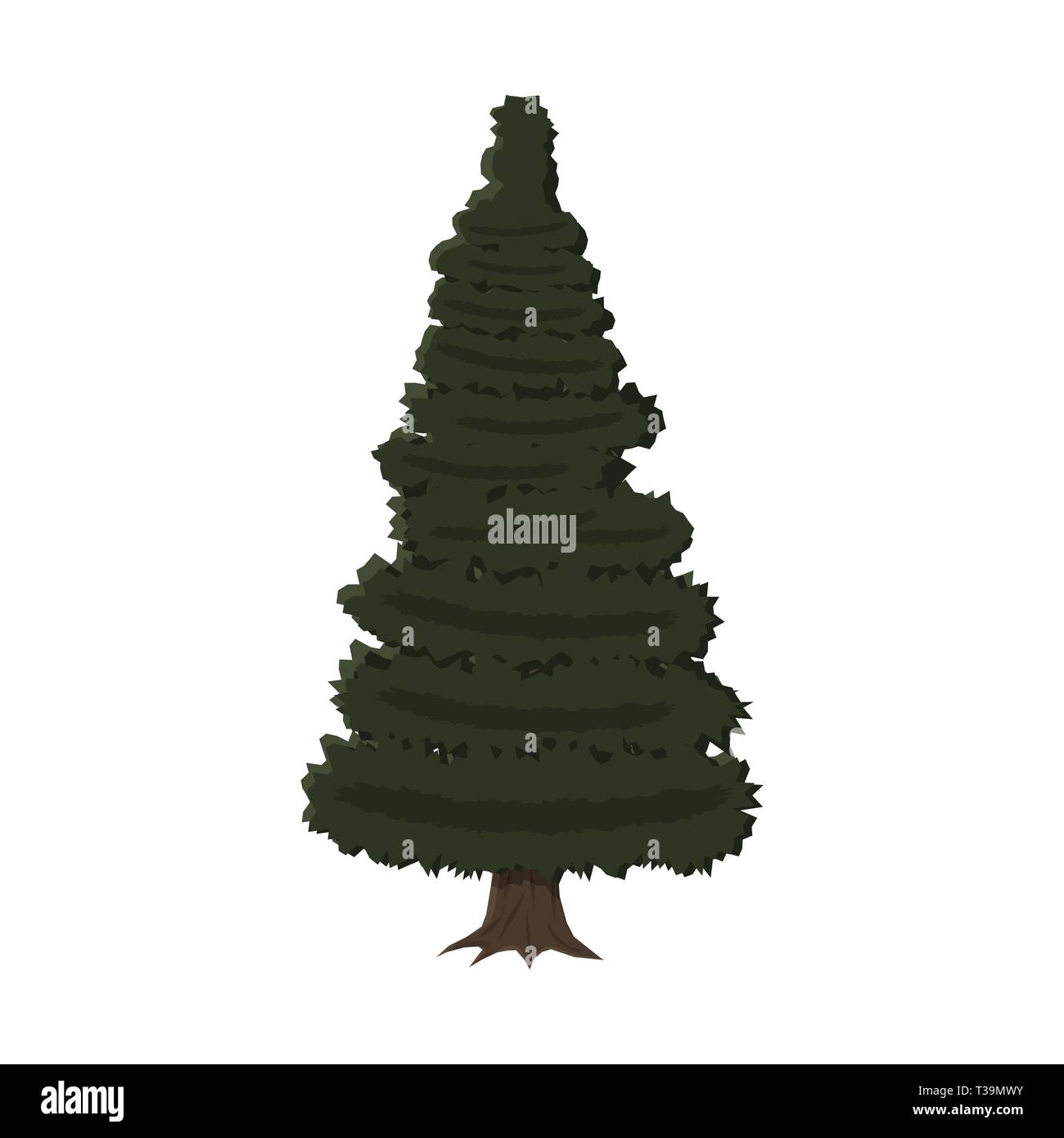 spruce, evergreen tree, vector illustration in flat style Stock Vector ...