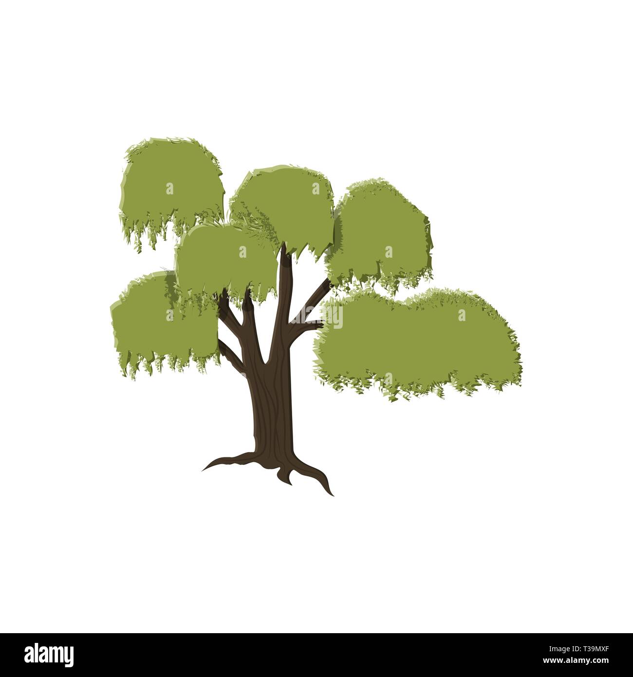 Yellow Weeping Willow Stock Vector Images Alamy