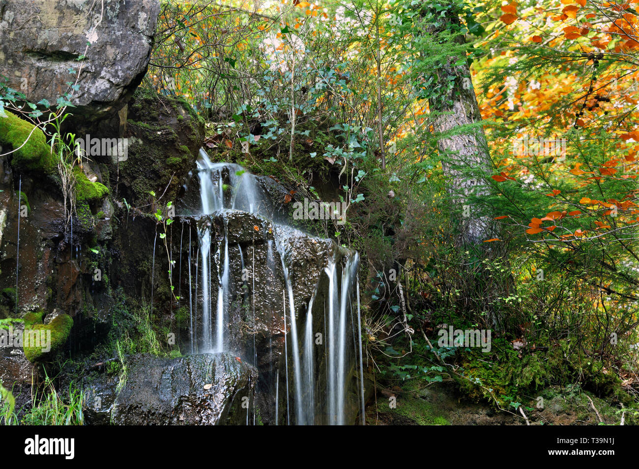 Small waterfall on a hillside by the Afon Llugwy (River Llugwy), near ...