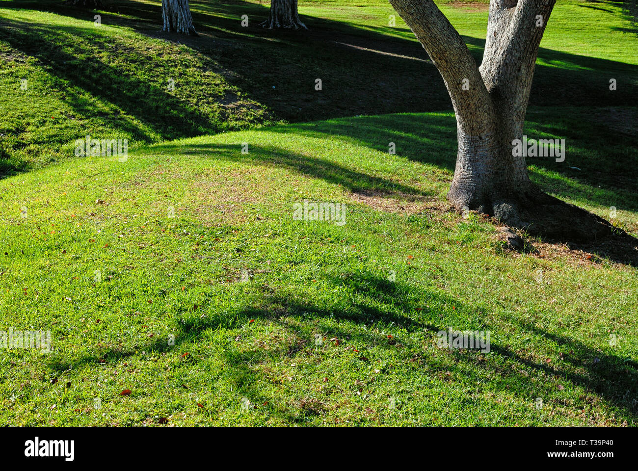 Siesta section hi-res stock photography and images - Alamy