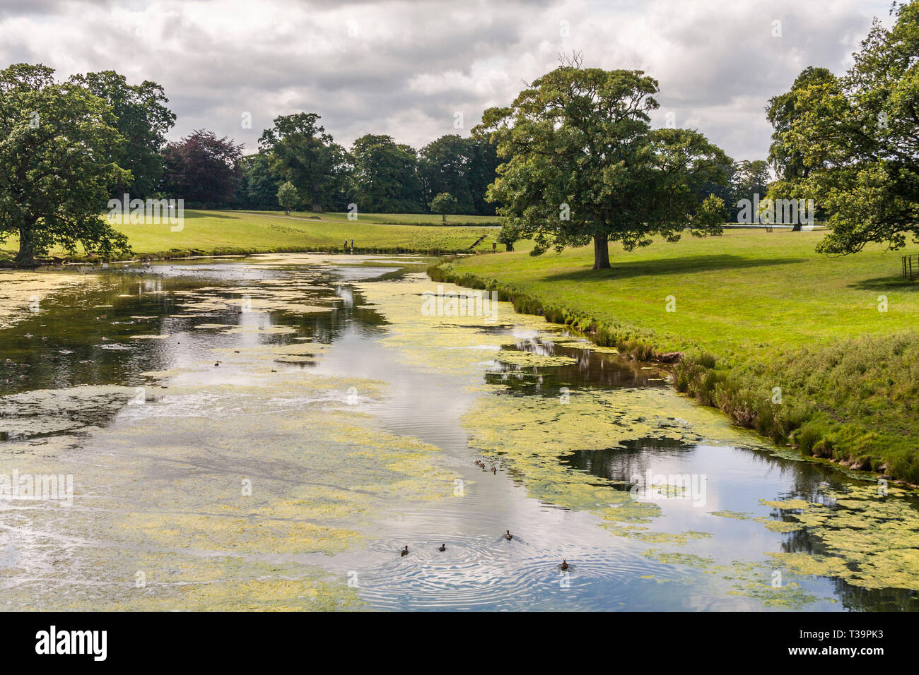 England raby staindrop castle hi-res stock photography and images - Alamy