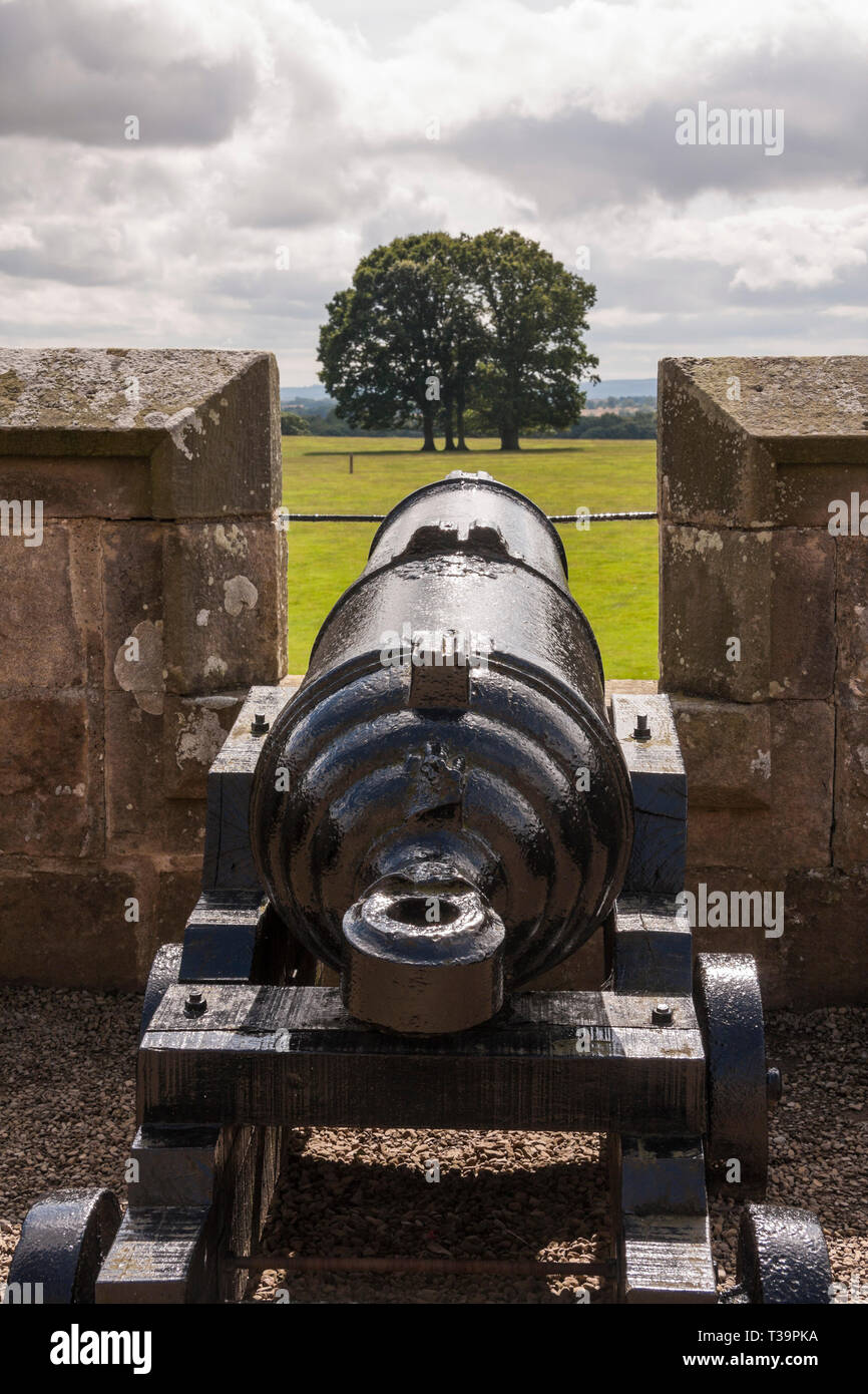 Deer raby castle hi-res stock photography and images - Alamy