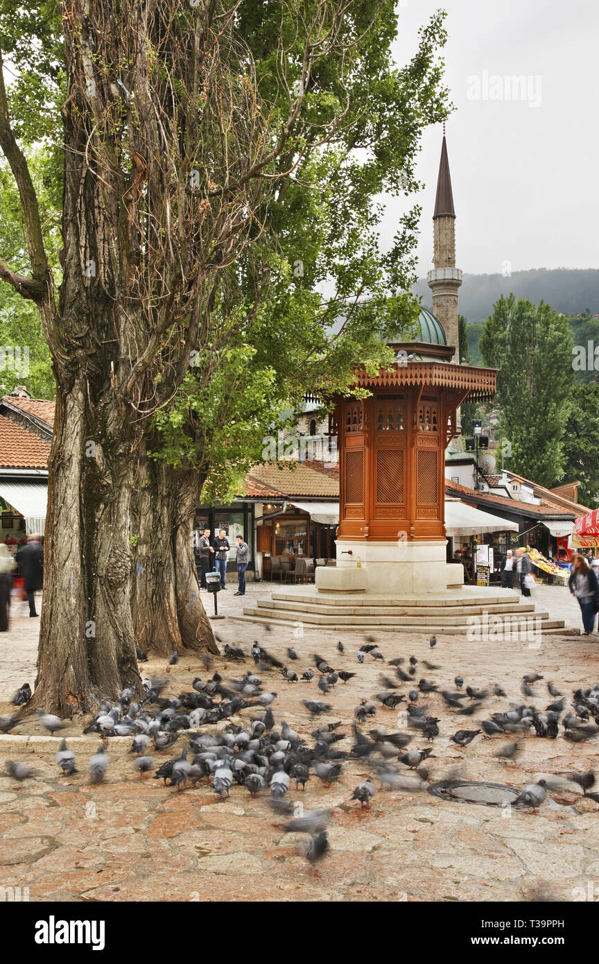 Sebilj fountain on Bascarsija square in Sarajevo. Bosnia and ...