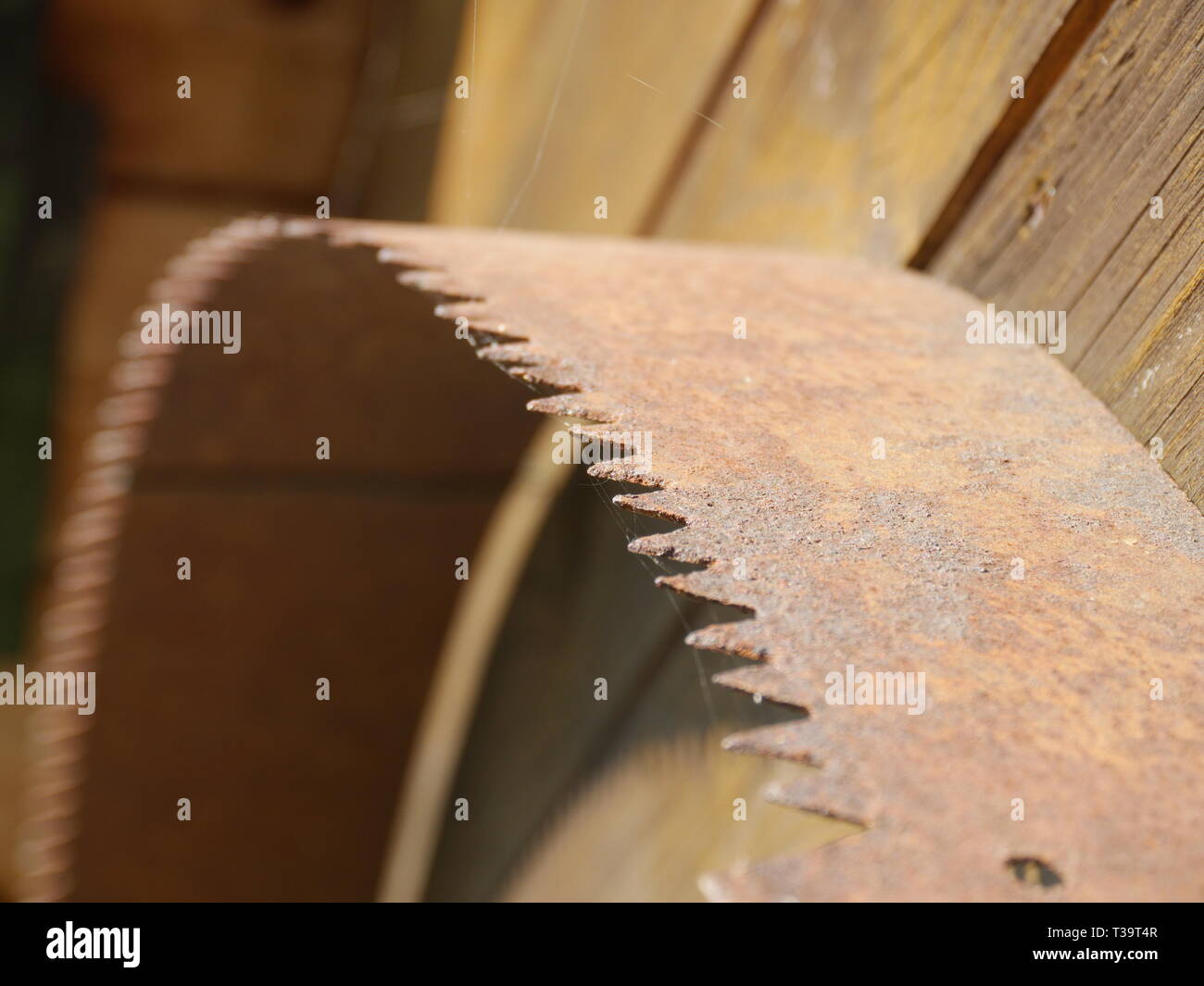 Rusty bended saw blade Stock Photo - Alamy