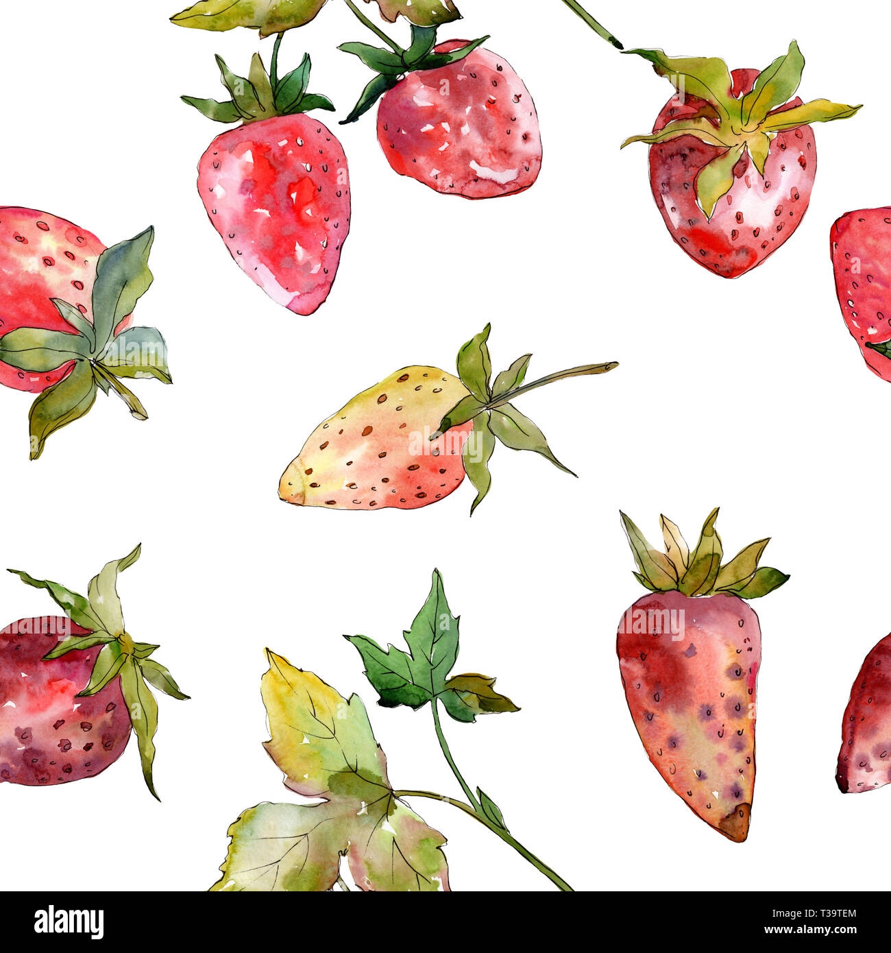 Strawberry healthy food isolated. Watercolor background illustration ...
