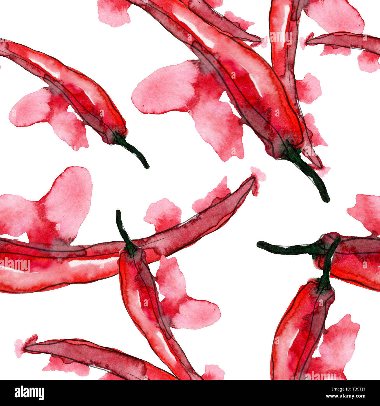 Fresh hot chili pepper illustration. Watercolor background illustration ...