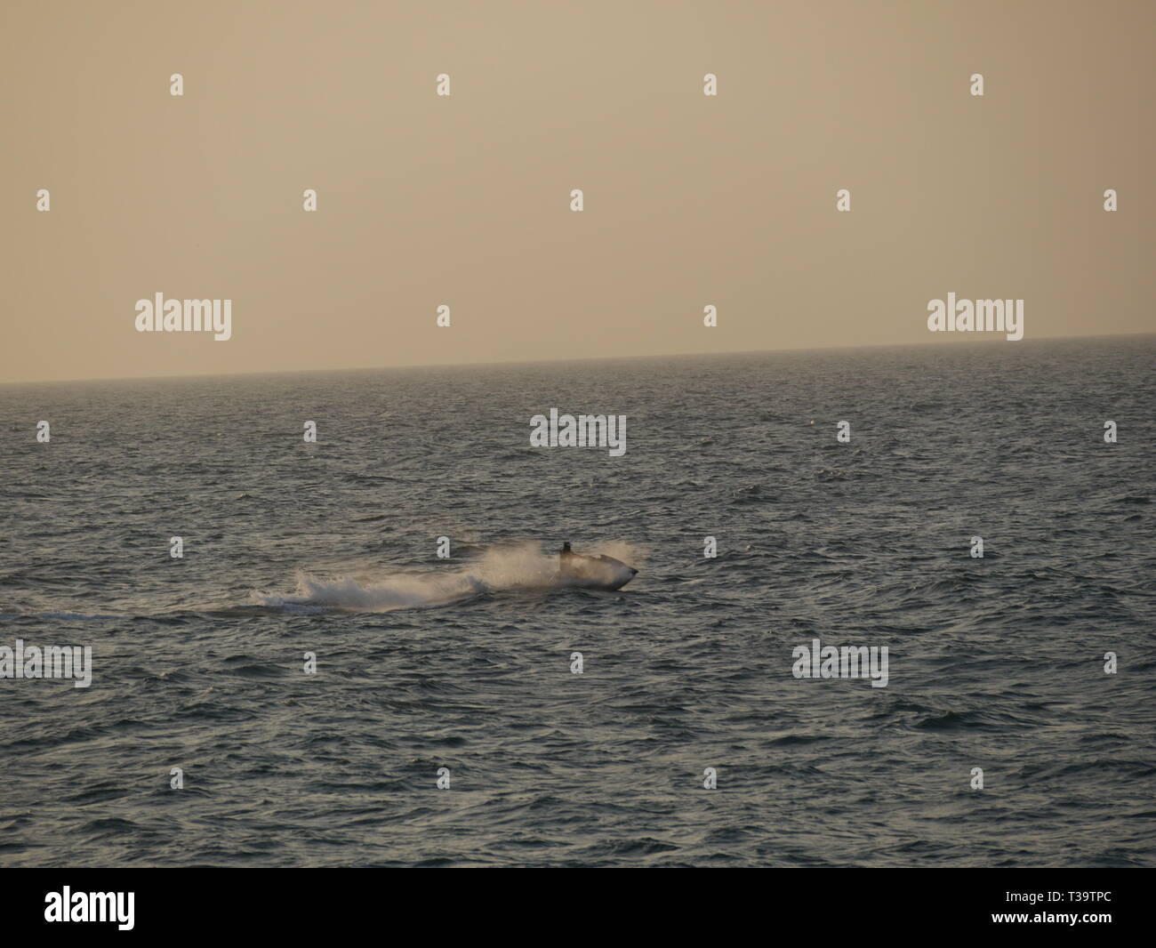 Fast powerful speedboat hi-res stock photography and images - Alamy