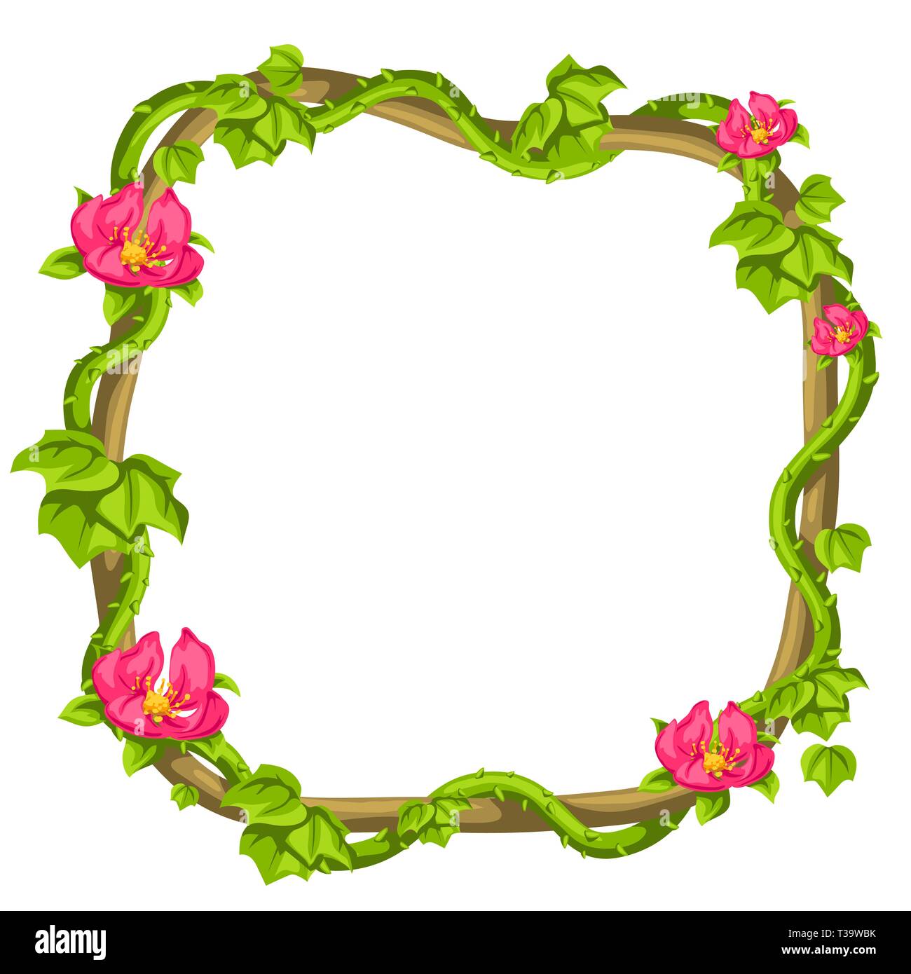 Woody vine Stock Vector Images - Alamy
