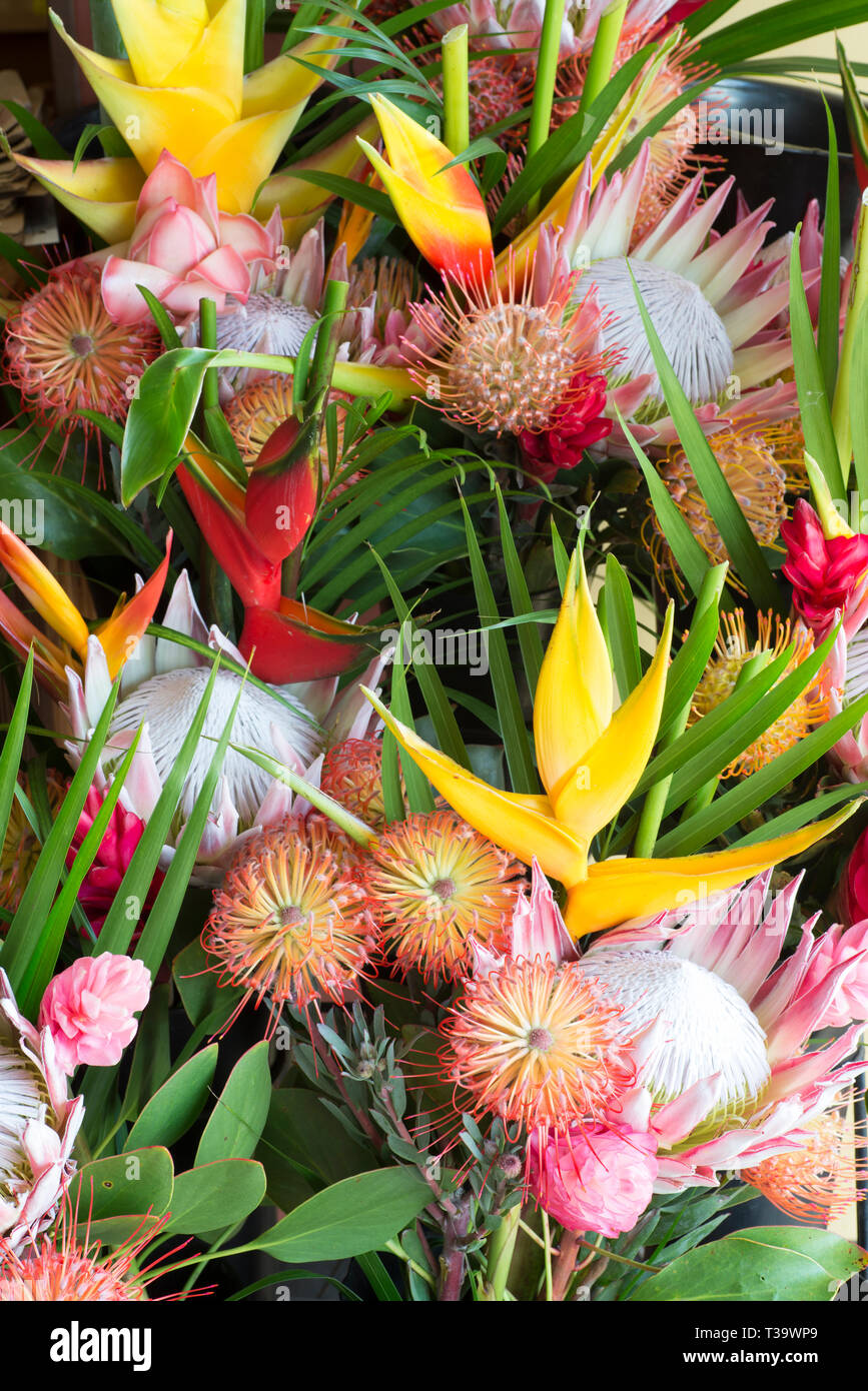 Bouquet of Hawaiian flowers Stock Photo - Alamy