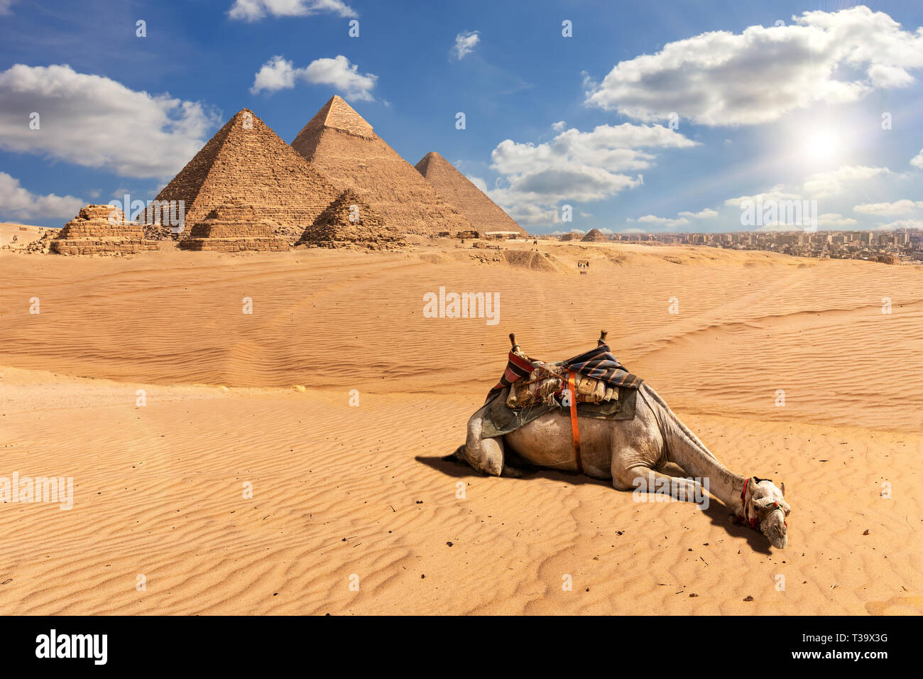 Desert egypt hi-res stock photography and images - Alamy