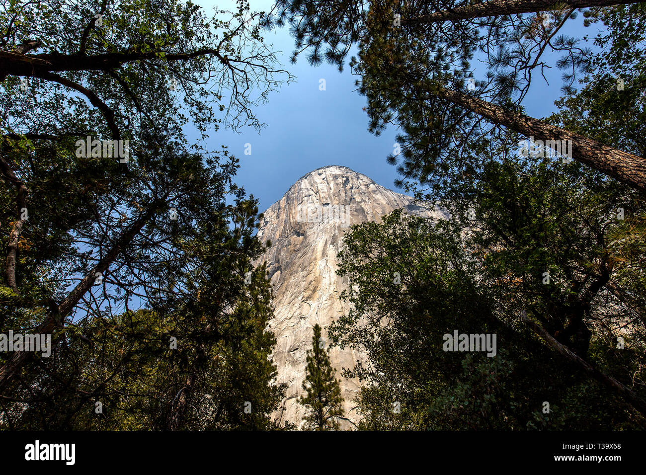 World famous rock climbing wall of El Capitan, Yosemite national park ...