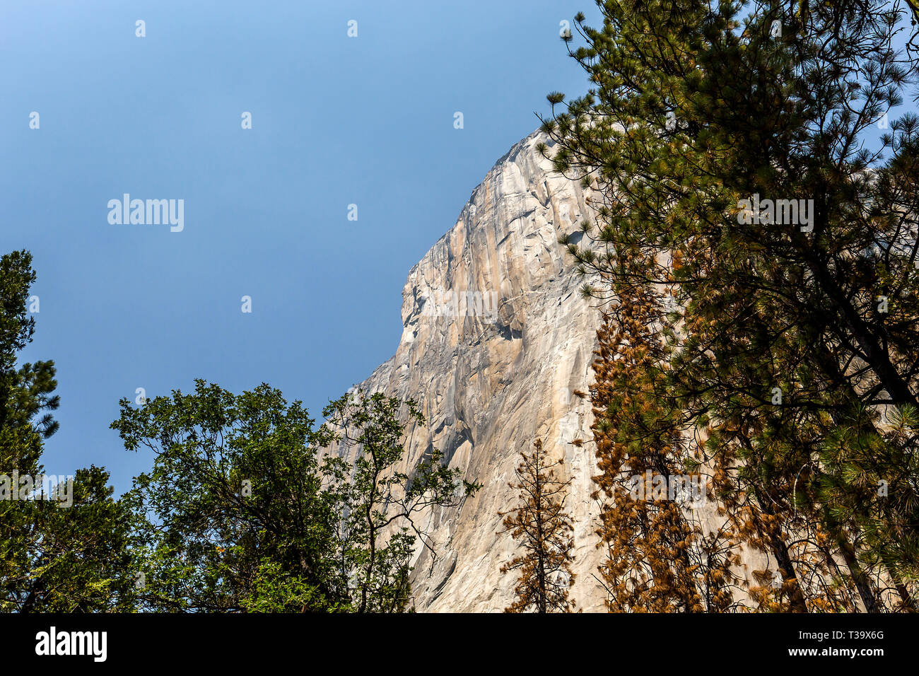 World famous rock climbing wall of El Capitan, Yosemite national park ...