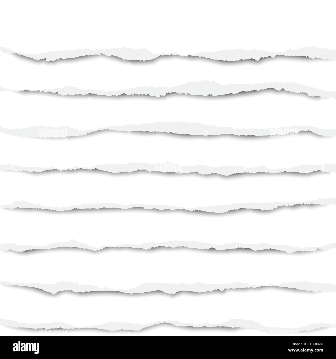 Piece of torn horizontal paper strips white background. Vector template ...