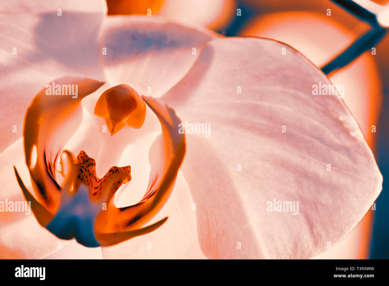 No color grading hi-res stock photography and images - Alamy