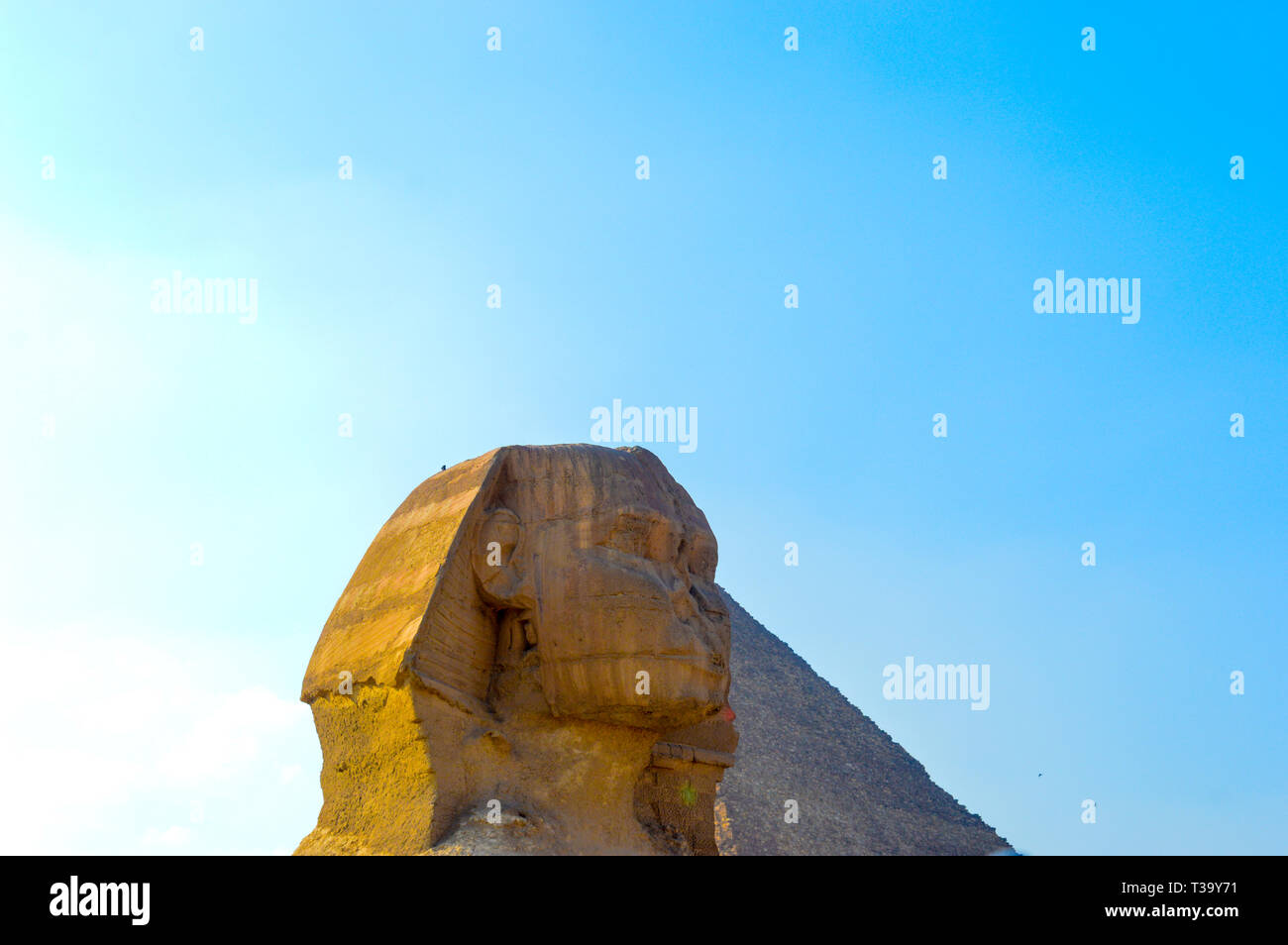 The Great pyramid of Giza in Egypt Cairo with Sphinx and camel. It is ...